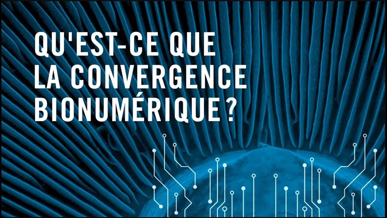 Qu'est-ce que la convergence bionumérique? - YouTube