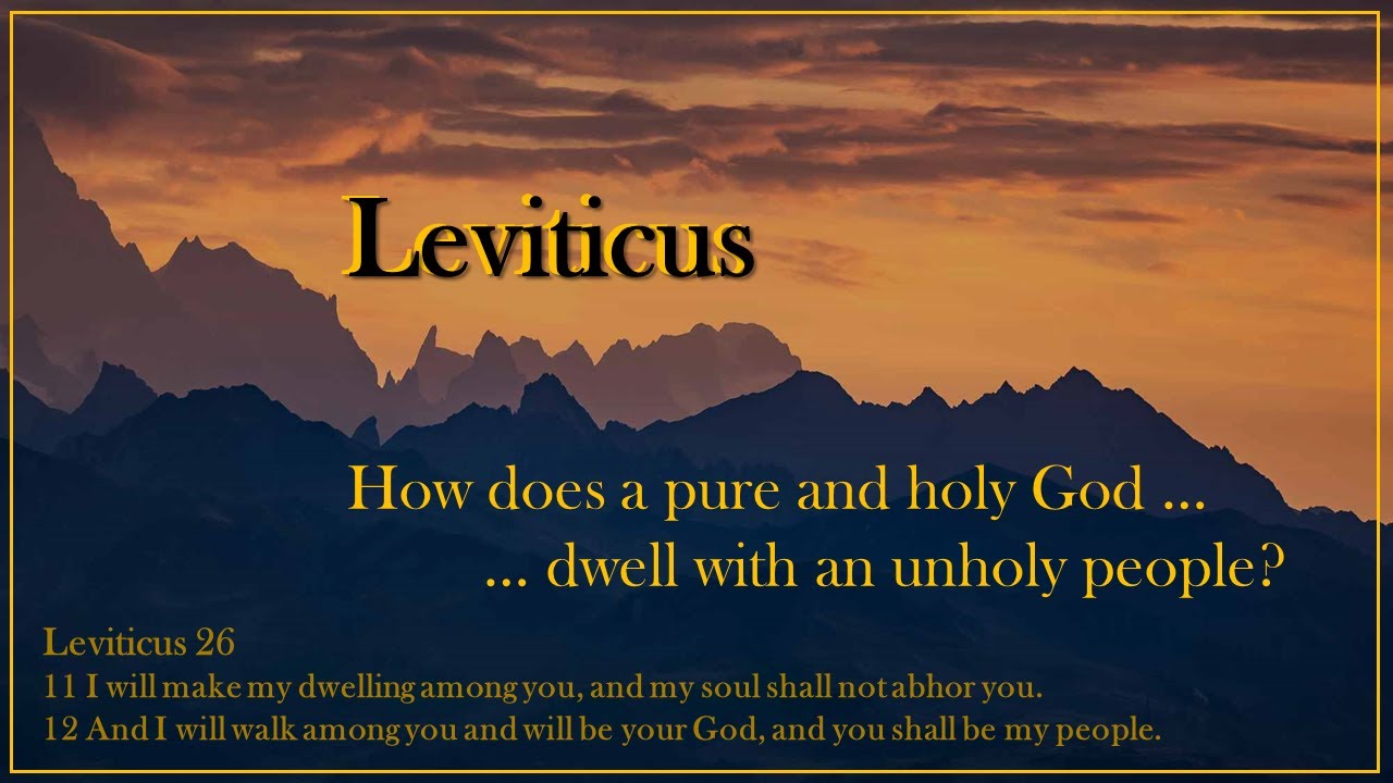 Leviticus - The Sin Offering - YouTube