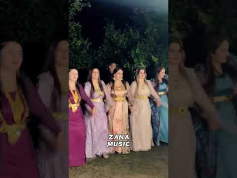 Hozan Şervan Şexaniya Oramarya #zanamusic #shorts