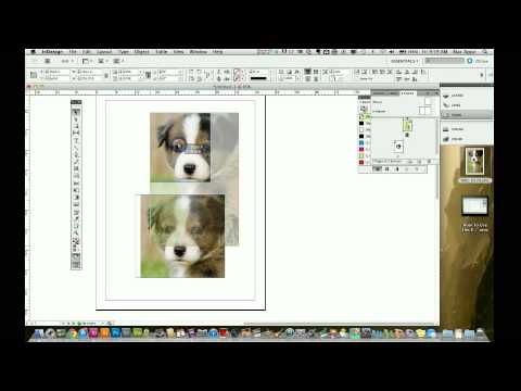 Indesign CS5 Tutorial - How to Use the Frame tool - YouTube