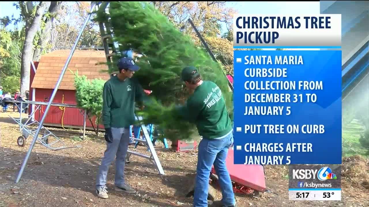 Curbside tree collection to begin in Santa Maria next week - YouTube