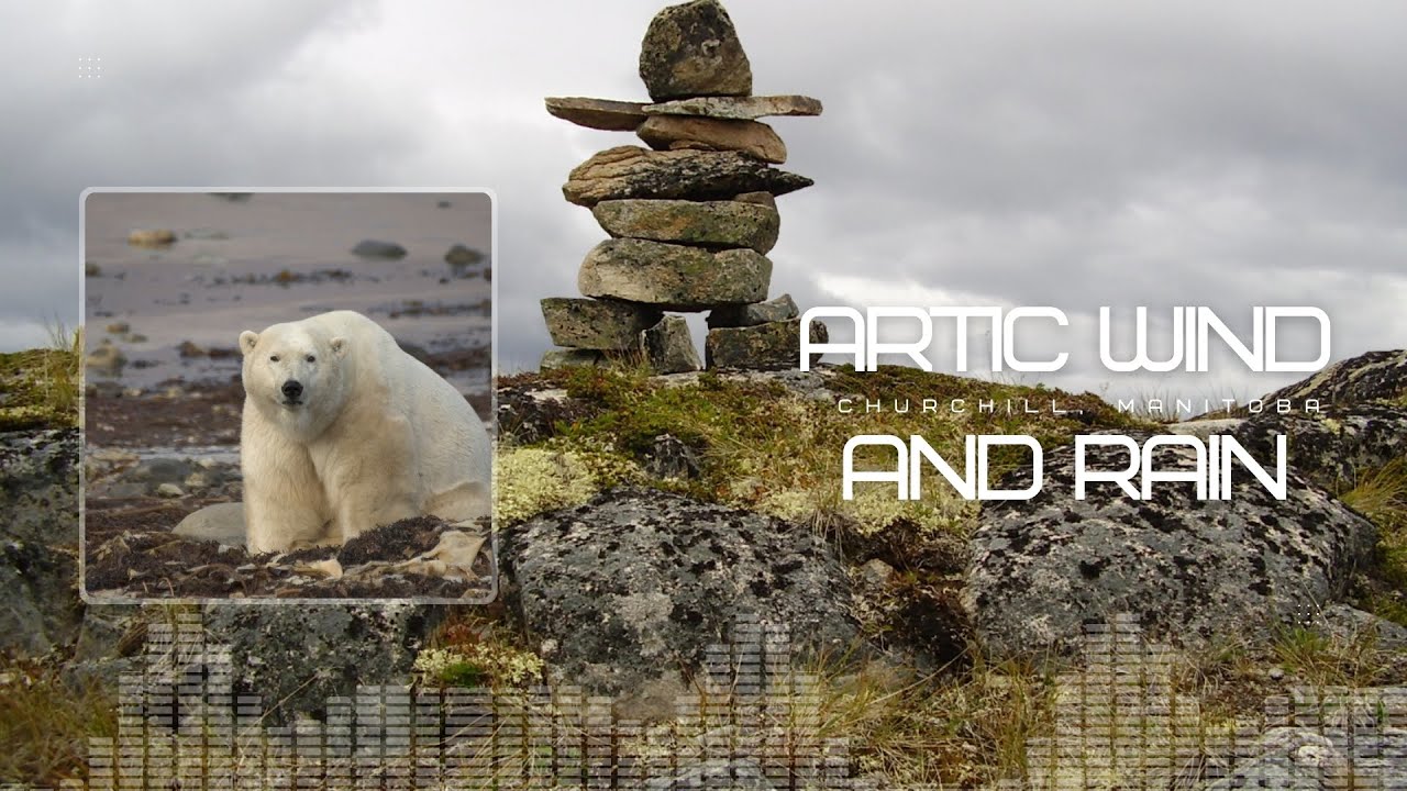Polar Winds Soundscape | Tundra Ambience | relaxing | wind and rain ...