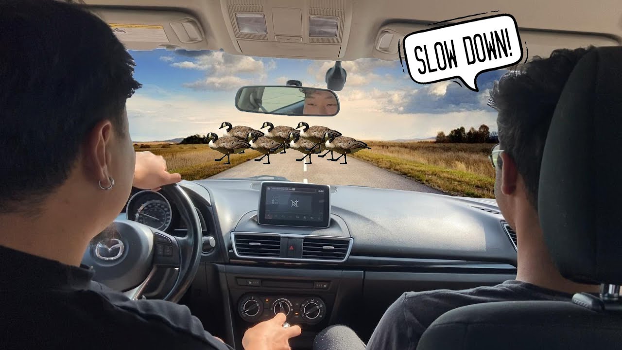 Driving Lessons Prank on Instructor - YouTube