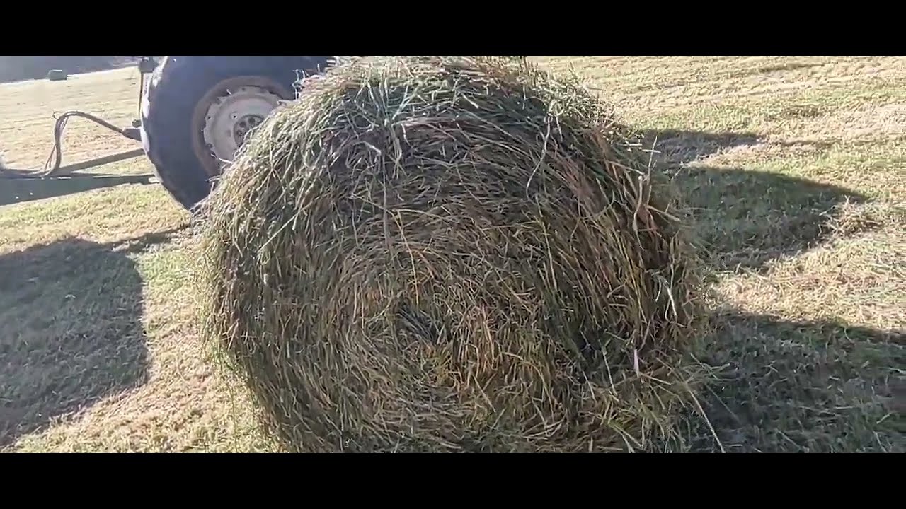 Making balage with a krone KR 130 baler and moving hay. - YouTube
