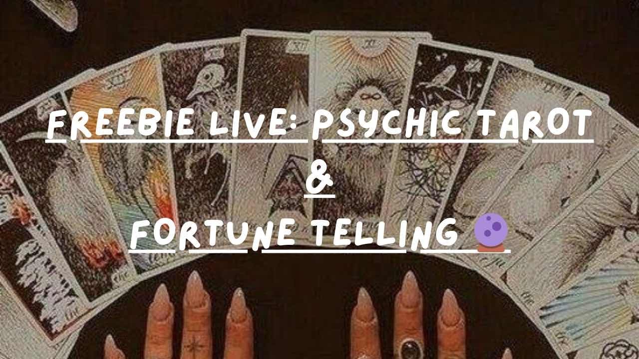 Freebie live: Psychic fortune telling readings with Jamie (#tarot ...