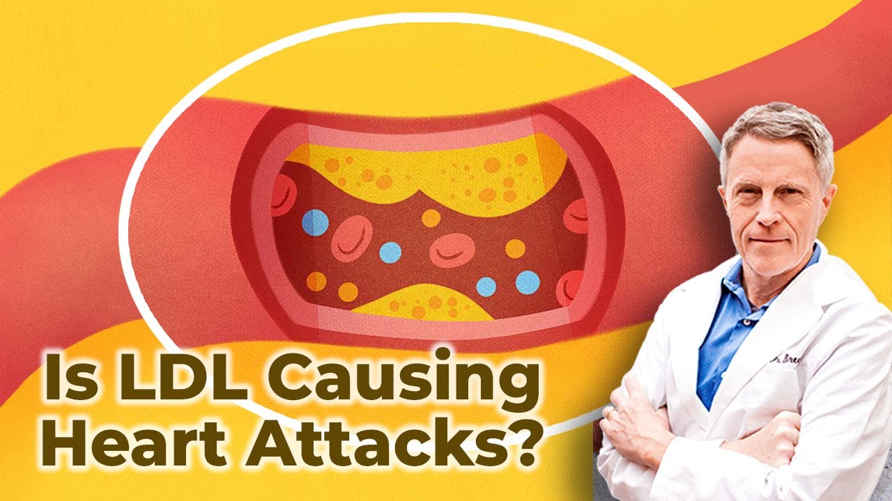 Lp Little (a) : A New Perspective - YouTube