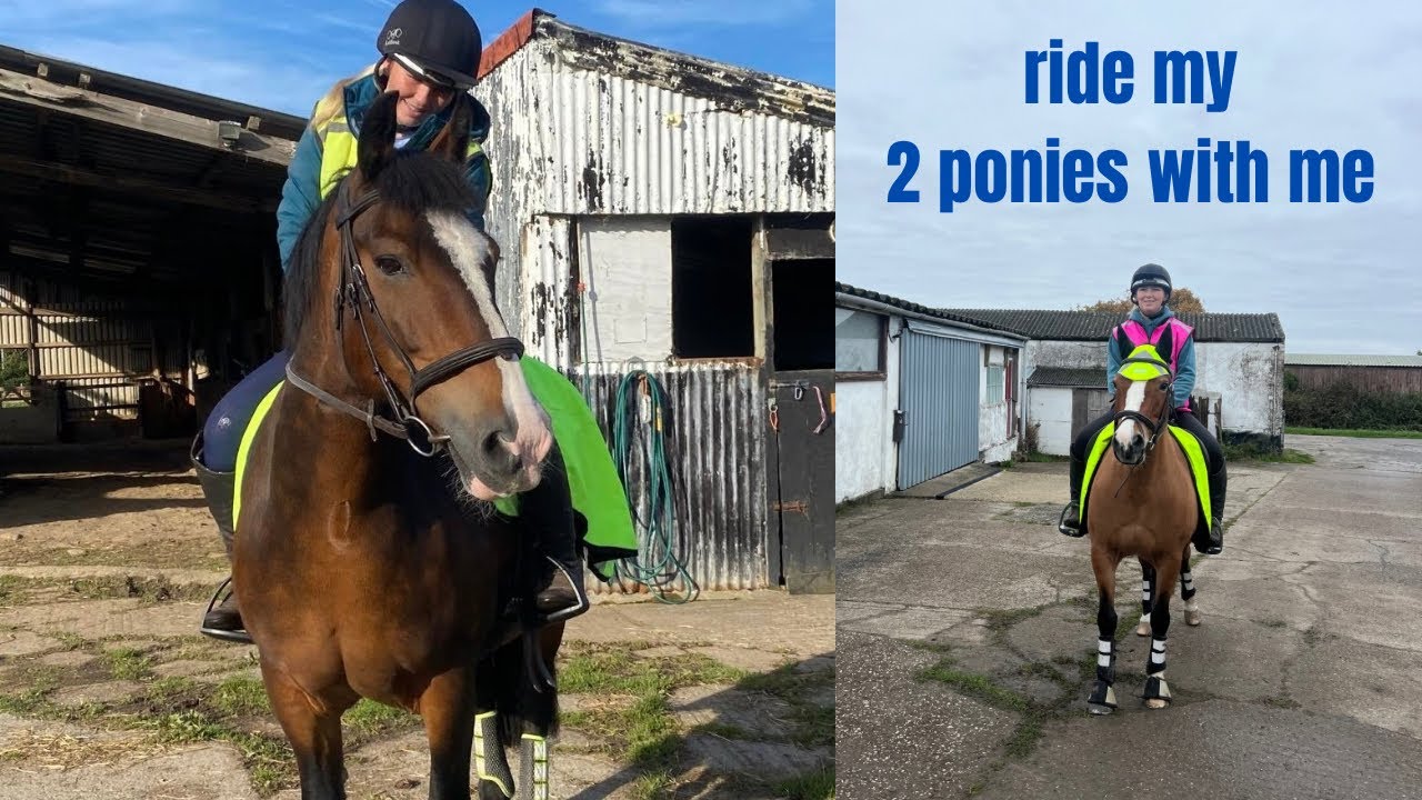 Ride my 2 ponies with me | MD equestrian _ - YouTube