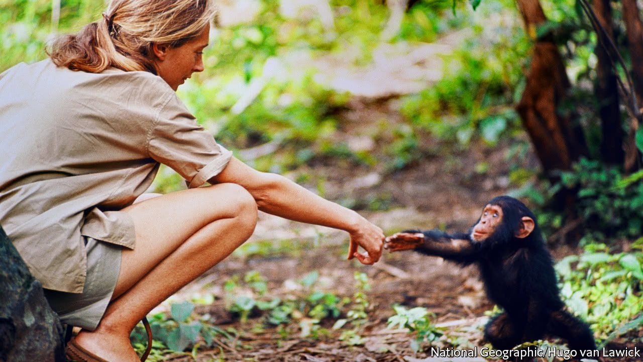 "Jane Goodall - "Mother Earth - ג'יין גודול - "אמא אדמה" - YouTube