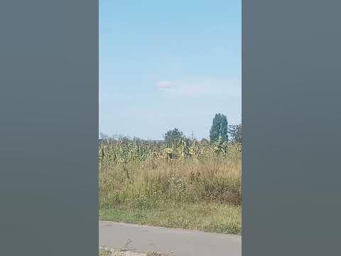 Енло вже поряд... - YouTube