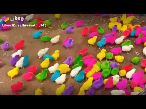 Gugoli gugoli - YouTube