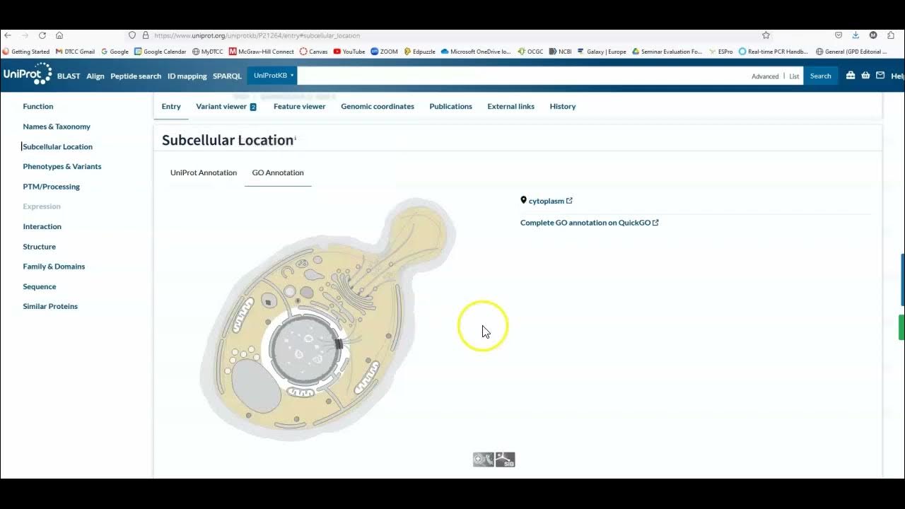 Uniprot Tutorial #1 - YouTube