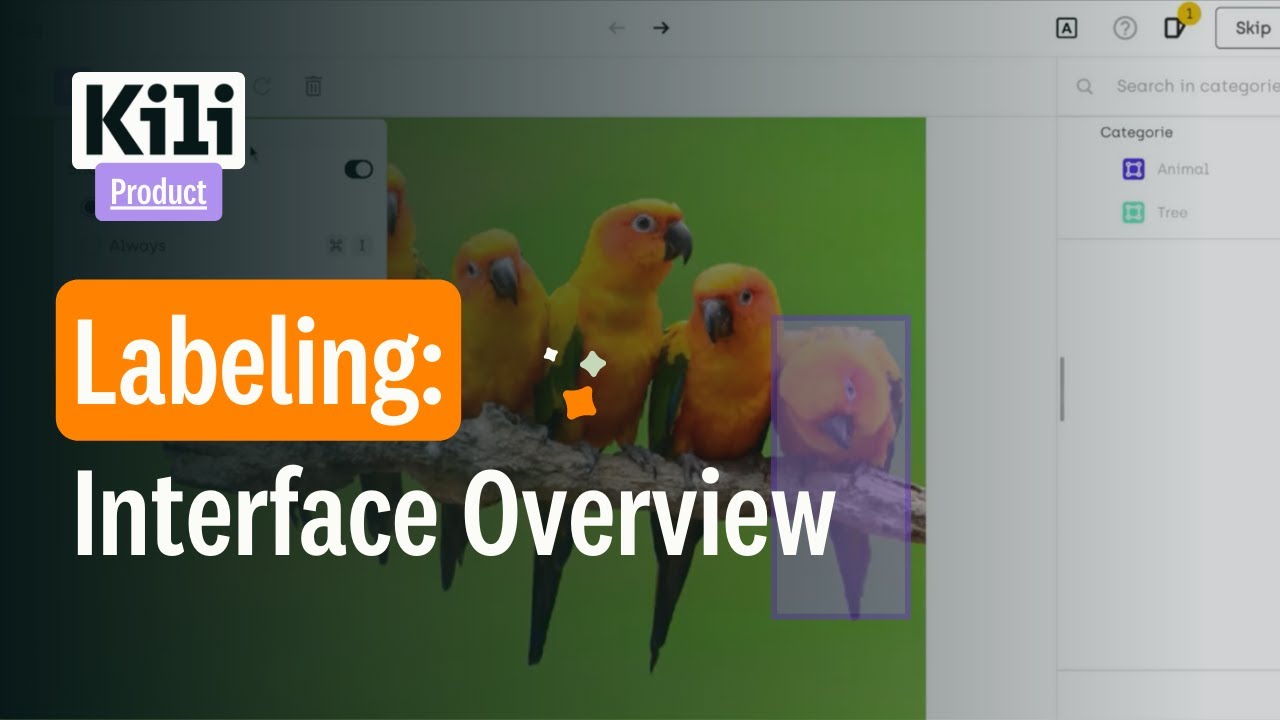 Labeling | Interface overview - YouTube
