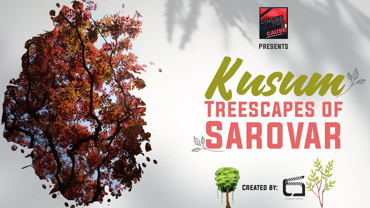 RABINDRA SAROVAR II KUSUM TREES II RARE & OLDEST II TREES OF THE LAKES ...