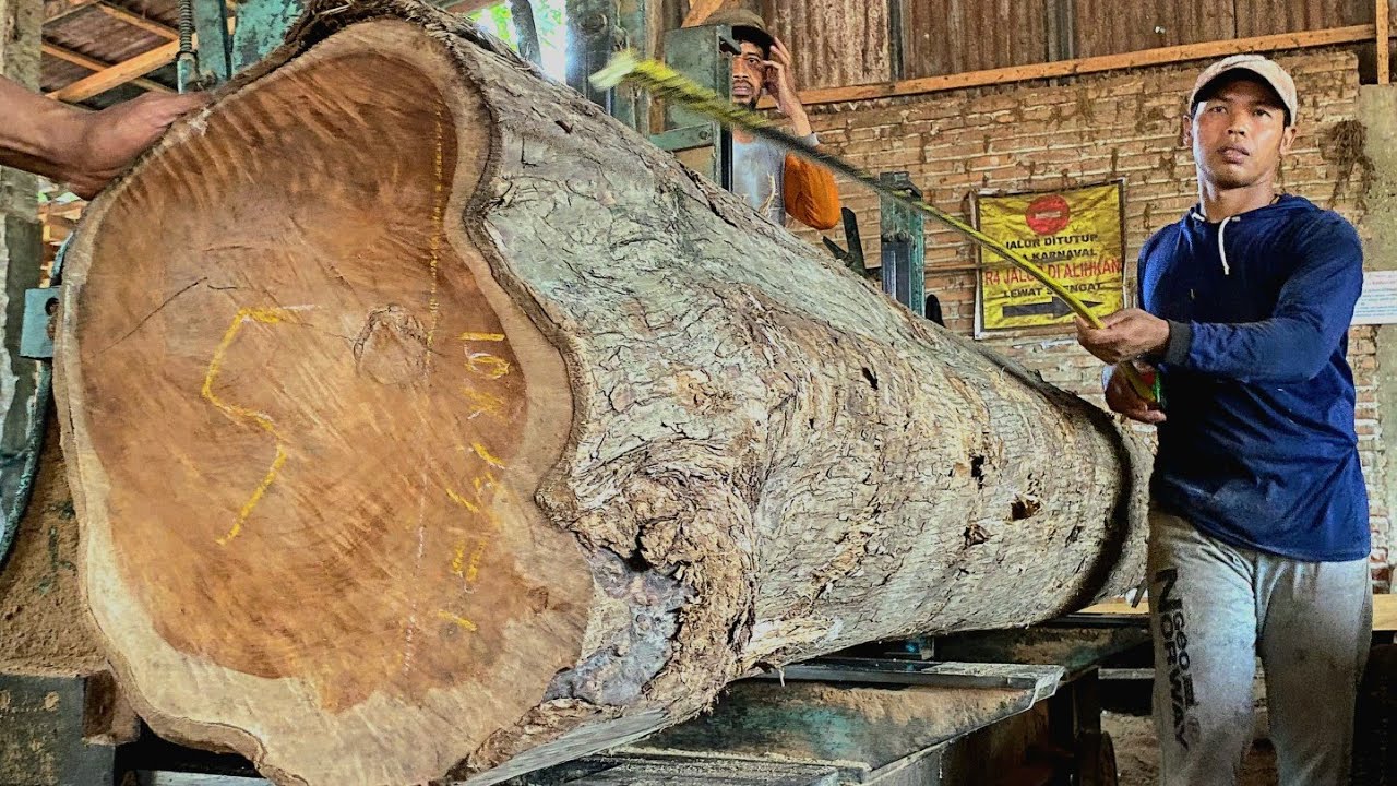 The process of making thick teak plank for carving doors at a homemade ...