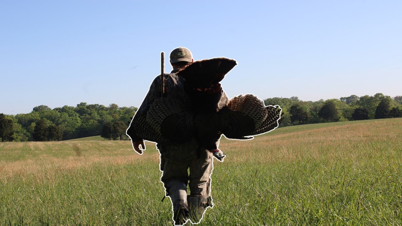 Spot & Stalk (Turkey Hunting !!!) - YouTube