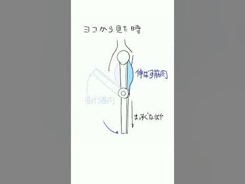 絵が固い人に見てほしい!自然な腕を描くための法則#イラスト #illustration #お絵描き #描き方 #drawing - YouTube
