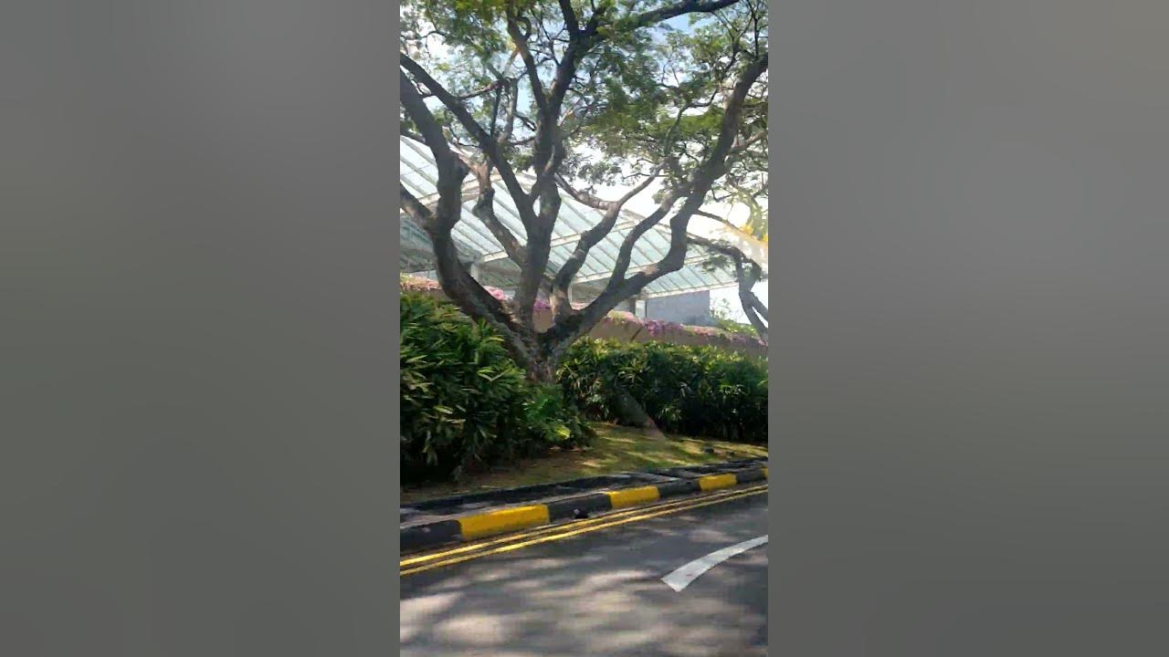 Singapore Youtube