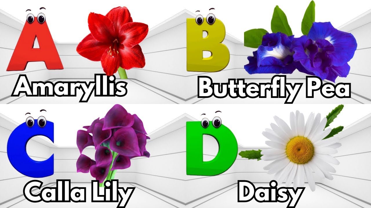 Flowers Alphabet Song | Flowers ABC Song | A to Z Flowers Names ...