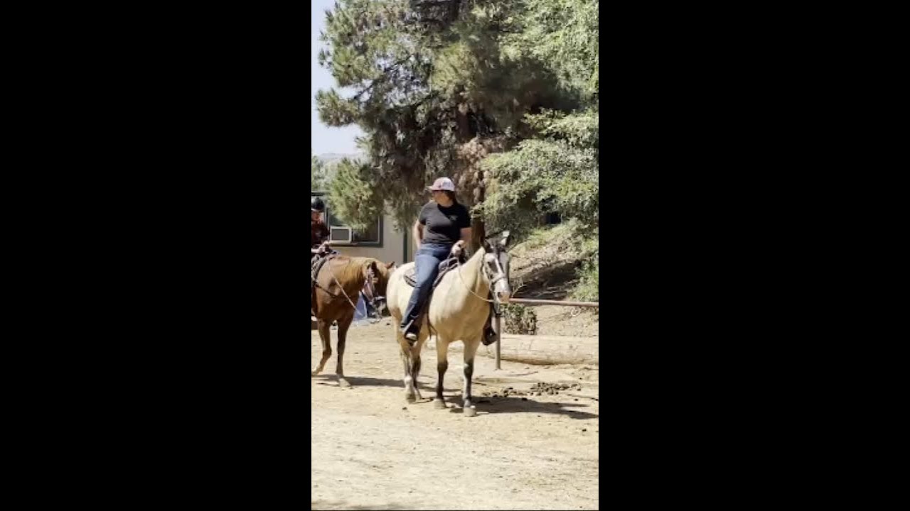 BSA Troop 278 Horseback Riding 2022 - YouTube