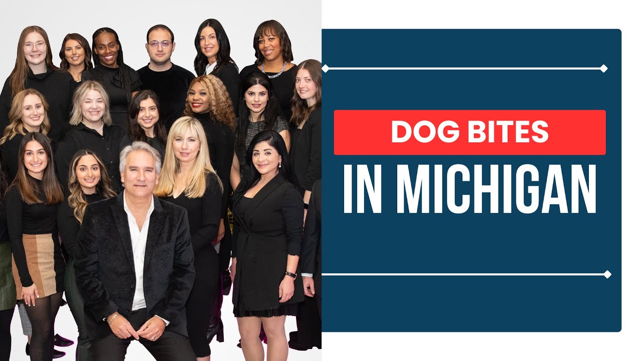 What You Need To Know About Dog Bites In Michigan YouTube what-you-need-to-know-about-dog-bites-in-michigan-youtube
