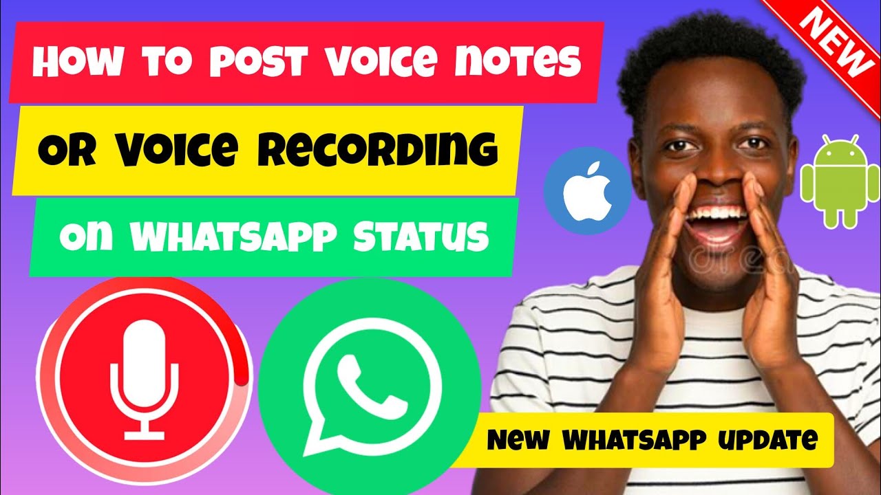 How To Post Voice Notes On WhatsApp Status Post Voice Recording On how-to-post-voice-notes-on-whatsapp-status-post-voice-recording-on