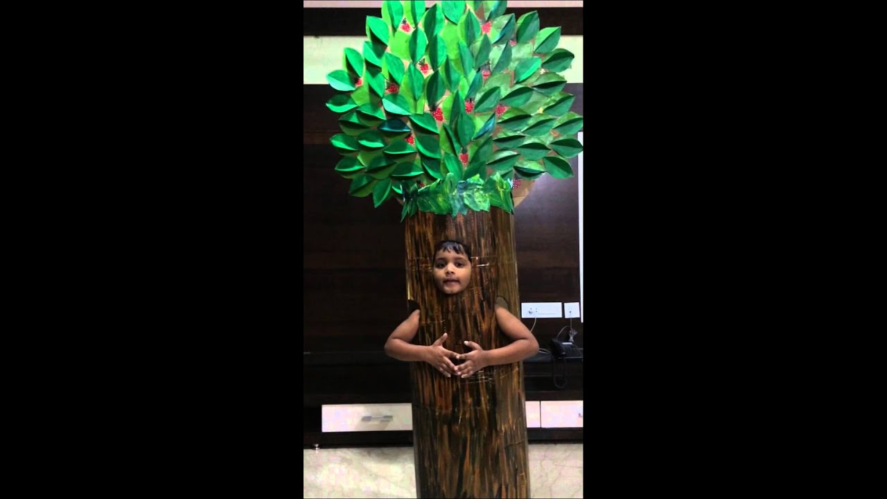 Fancy Dress Of Tree YouTube fancy-dress-of-tree-youtube