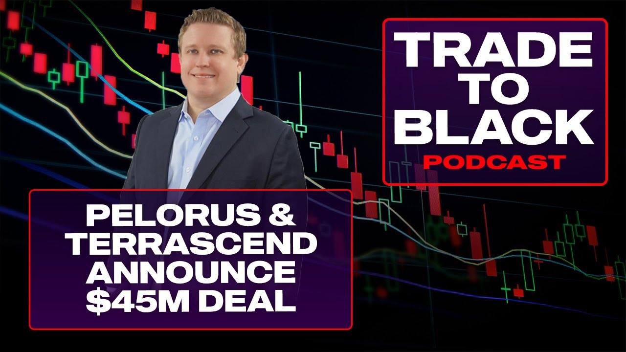 Why MSOs Are Pivoting to Pelorus For Lending - YouTube