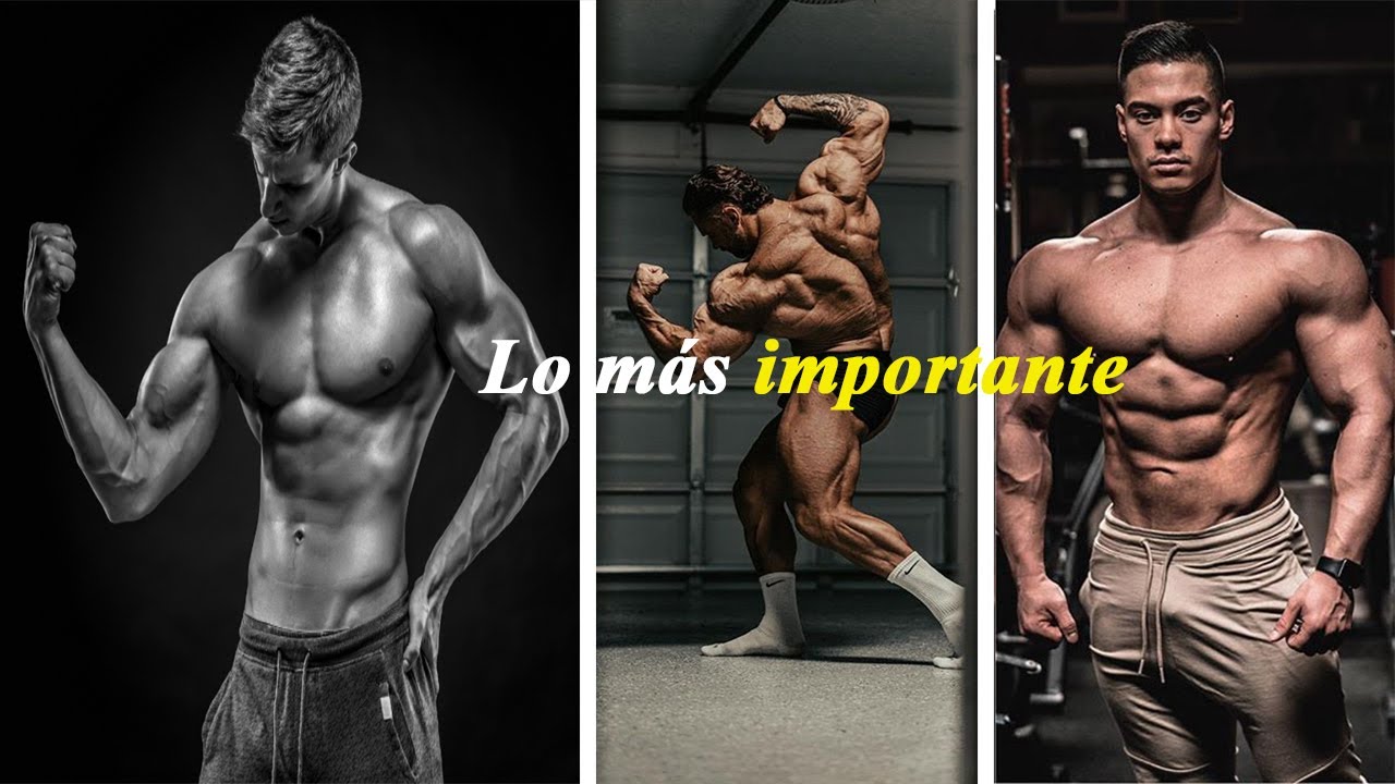 Los 4 músculos para lograr un cuerpo estético - YouTube