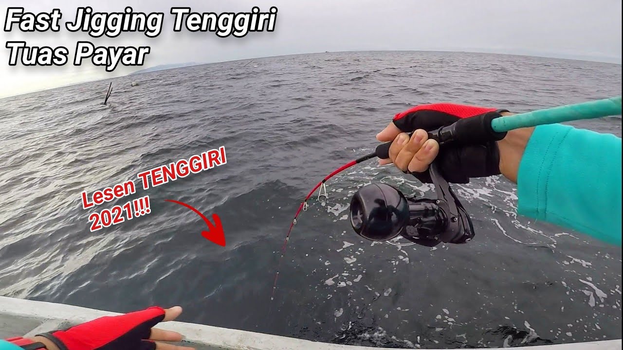Fast Jigging TENGGIRI Tuas Payar - Lesen TENGGIRI Tuas Payar 2021 ...