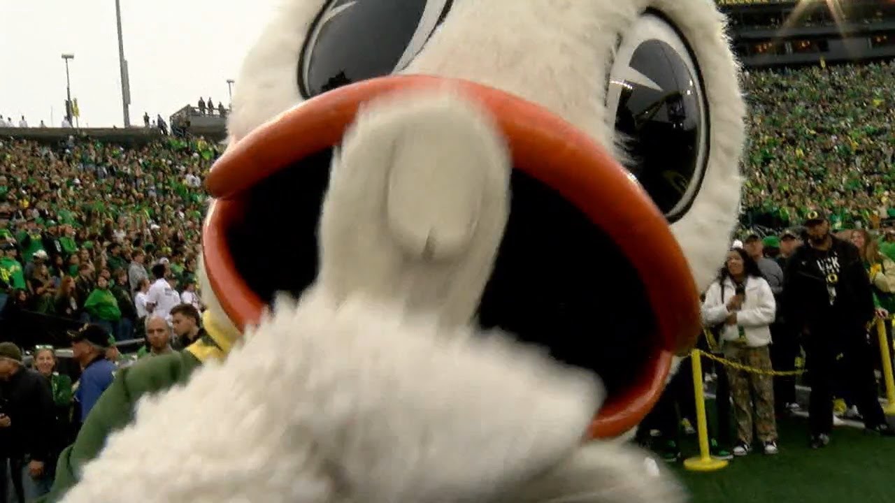 Oregon Duck Fan Memes 10/10 Uniforms, 7/10 Football Team #oregon