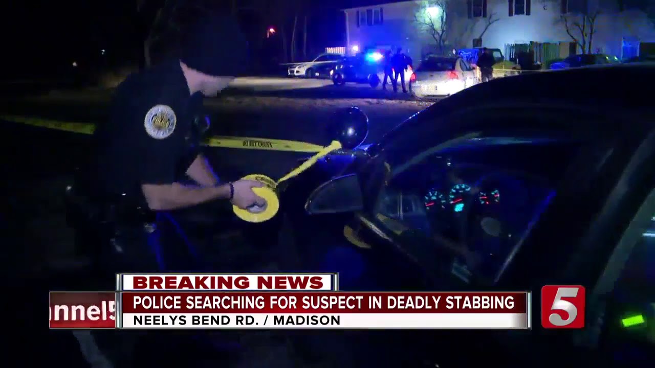 Woman fatally stabbed in Madison condo complex - YouTube