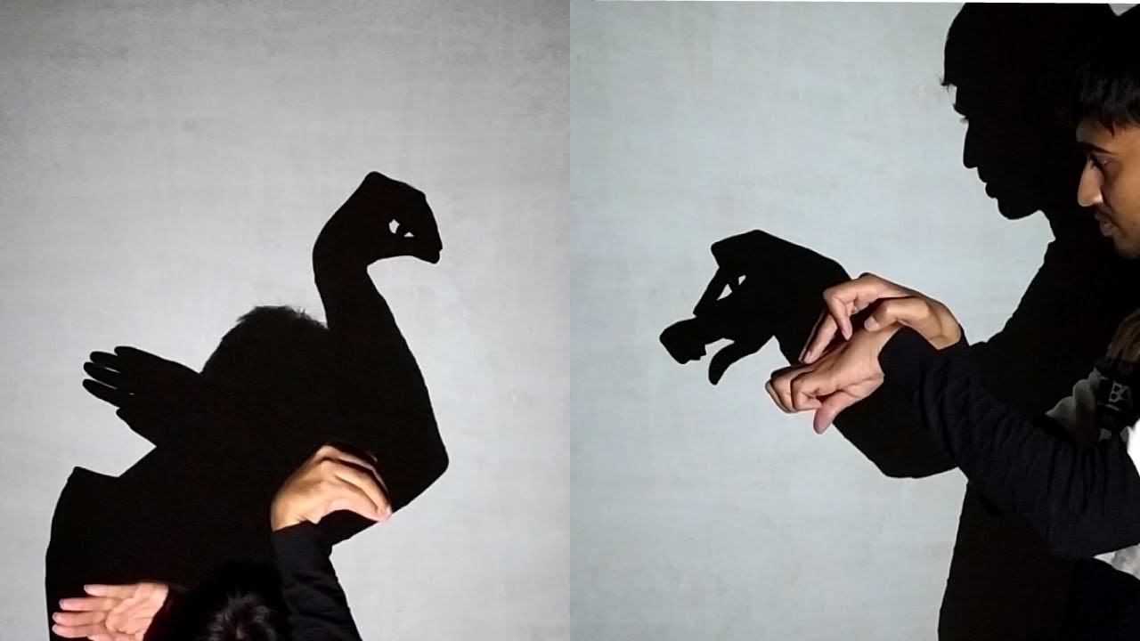 Beautiful Hand Shadow Performance | how to make dog & bird shadow - YouTube