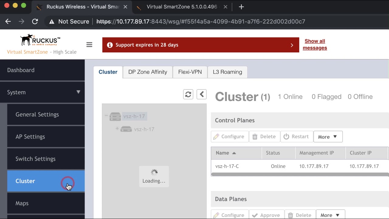 Configuring a Virtual SmartZone Cluster - YouTube