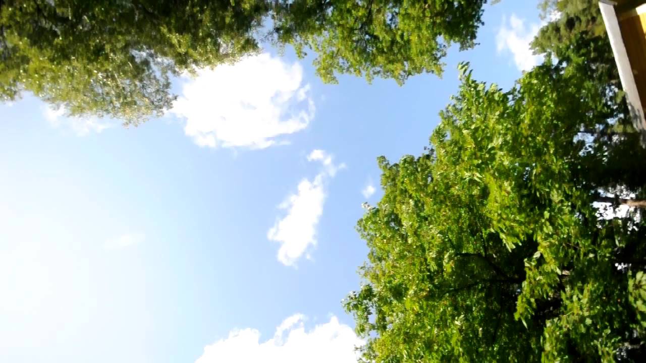 Michael Jackson in the sky 2009-07-29 - YouTube