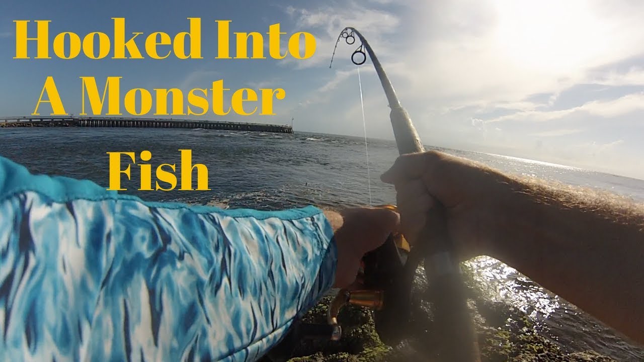 Hooked Into A Monster At Sebastian Inlet!!(Inlet Fishing) - YouTube
