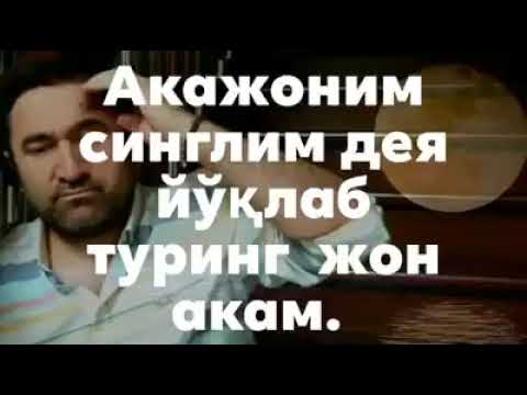 АКА СИНГИЛ ШЕР ЭШИТИБ ЙИГЛАЙСИЗ