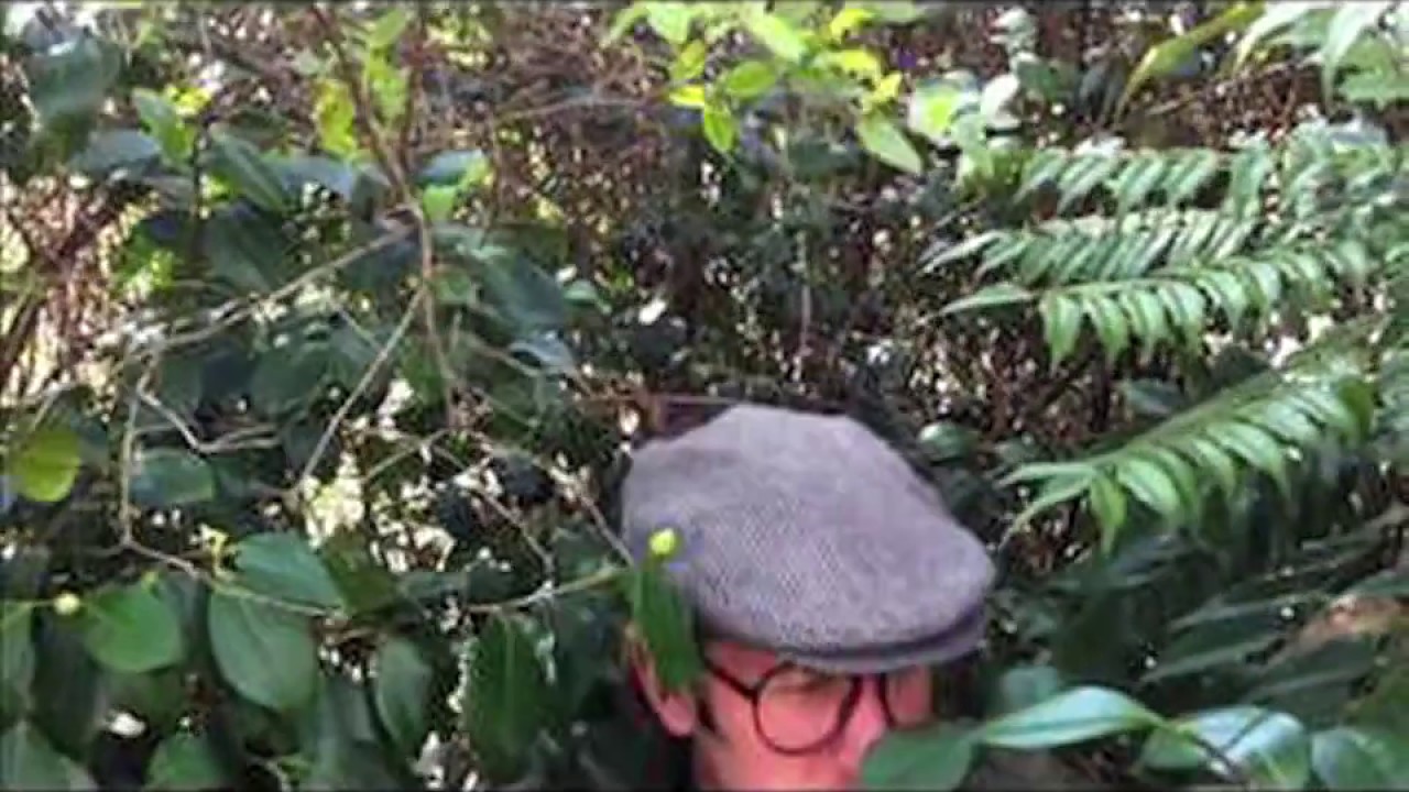 Nolh's Comedy Acting Reel - YouTube