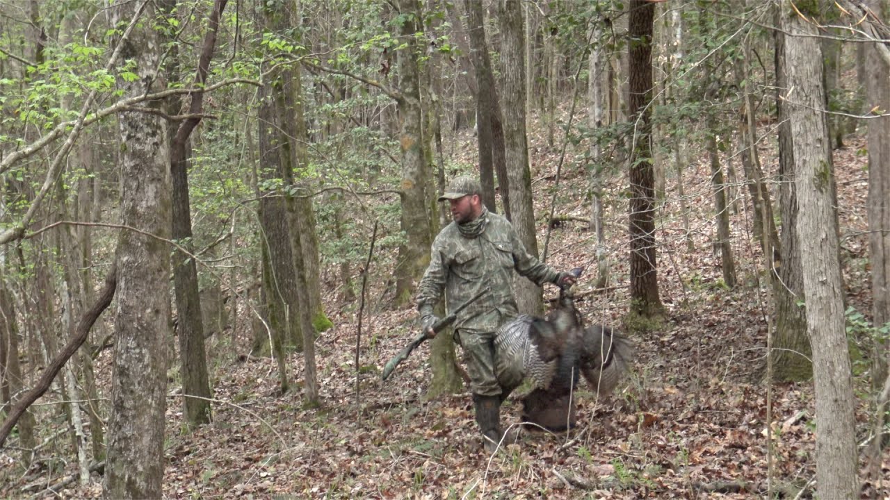 Spring Turkey Hunting 2021 (Hardwoods Hammer) - YouTube