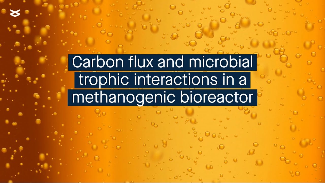 Metatranscriptomics-guided metabolic reconstruction reveals insight into uncultivated microbes ...
