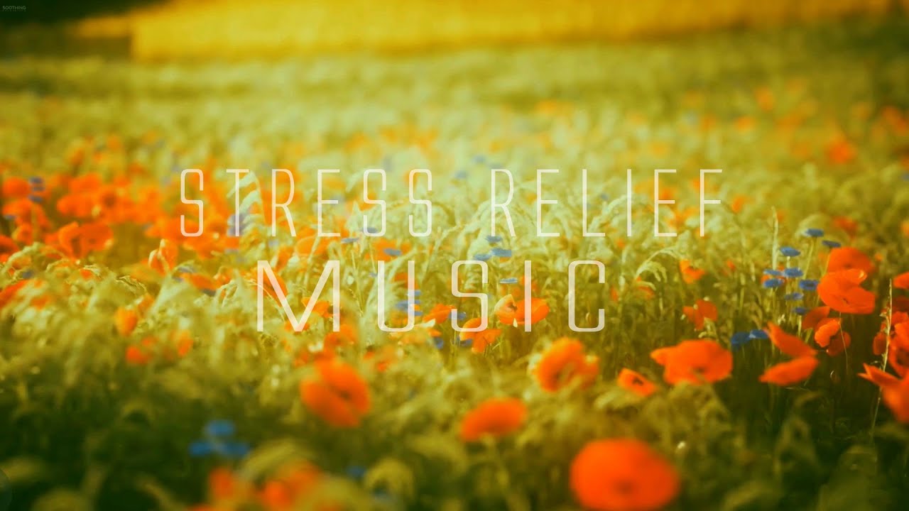 Beautiful Relaxing Music Peaceful Piano , Cello and Guitar Music by ...