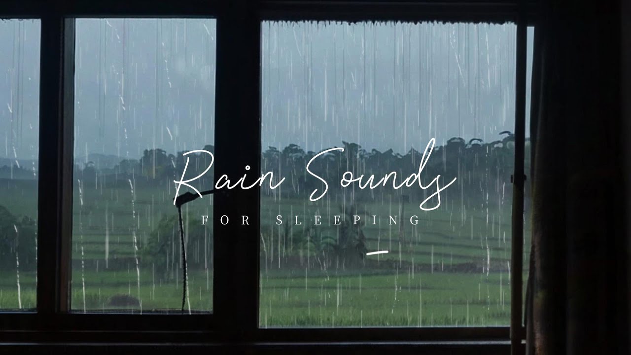 Rain Sounds For Sleeping - 30 minutes Calming Rain Sounds from Your ...