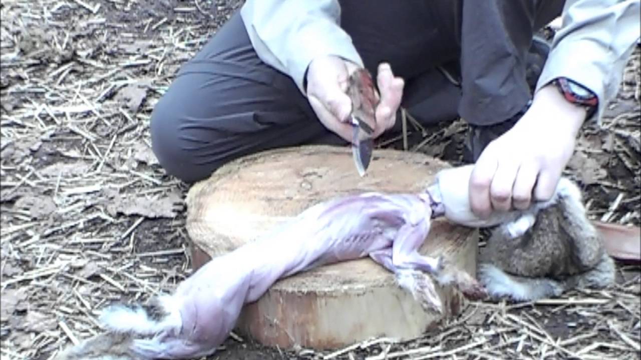 bushcraft survival tip; skinning rabbit - YouTube