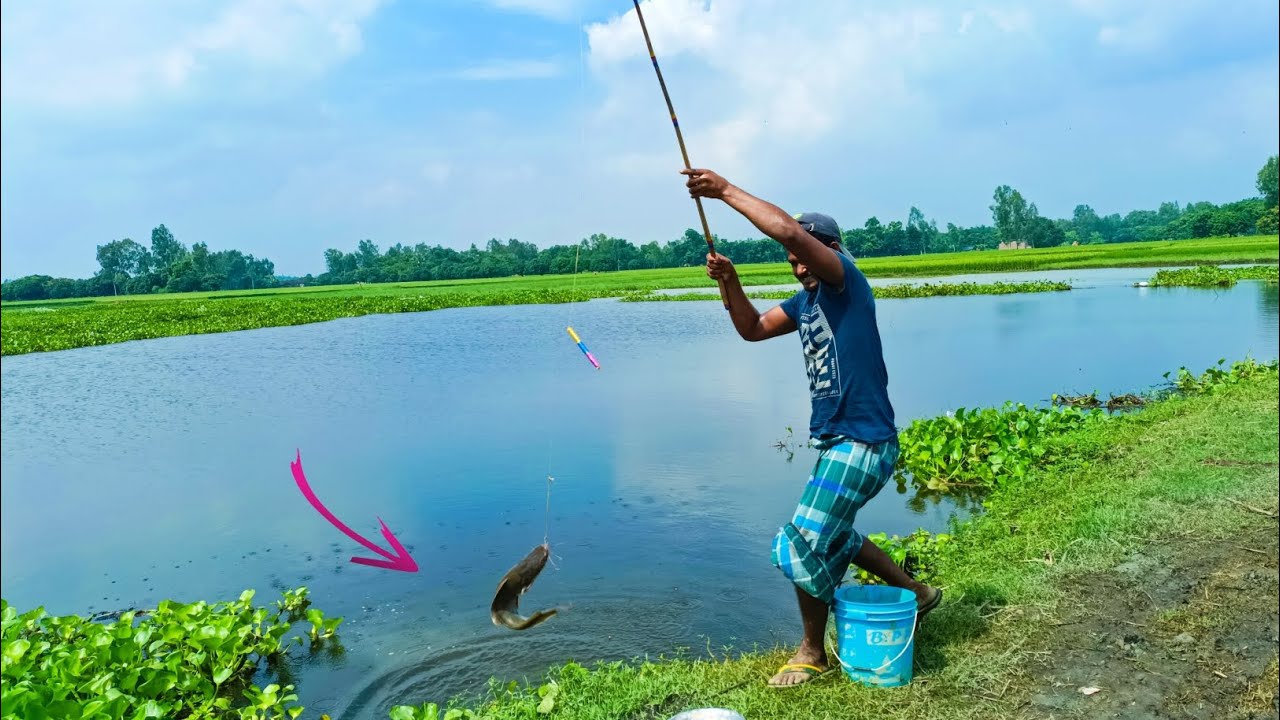 Amazing Fishing Video || Village Traditional Fish Catching Video ...