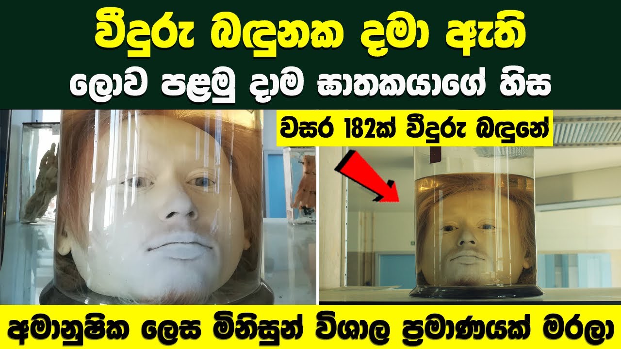 වසර 182ක් තිස්සේ වීදුරු බදුනක තබා ඇති ලොව පලමු දාම ඝාතකයාගේ හිස ...
