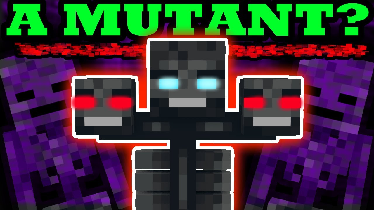 The SECRET story of the WITHER ~ Minecraft 1.19 - YouTube