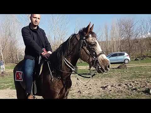 İREM BAĞLARI ATLI SAFARİ