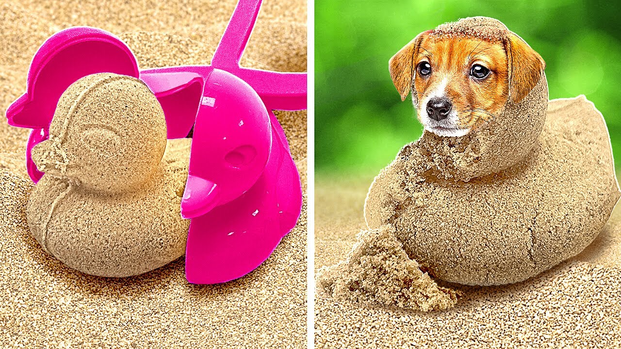 We Found a Dog in the Sand 😱| Best Hacks for Pet Owners - YouTube