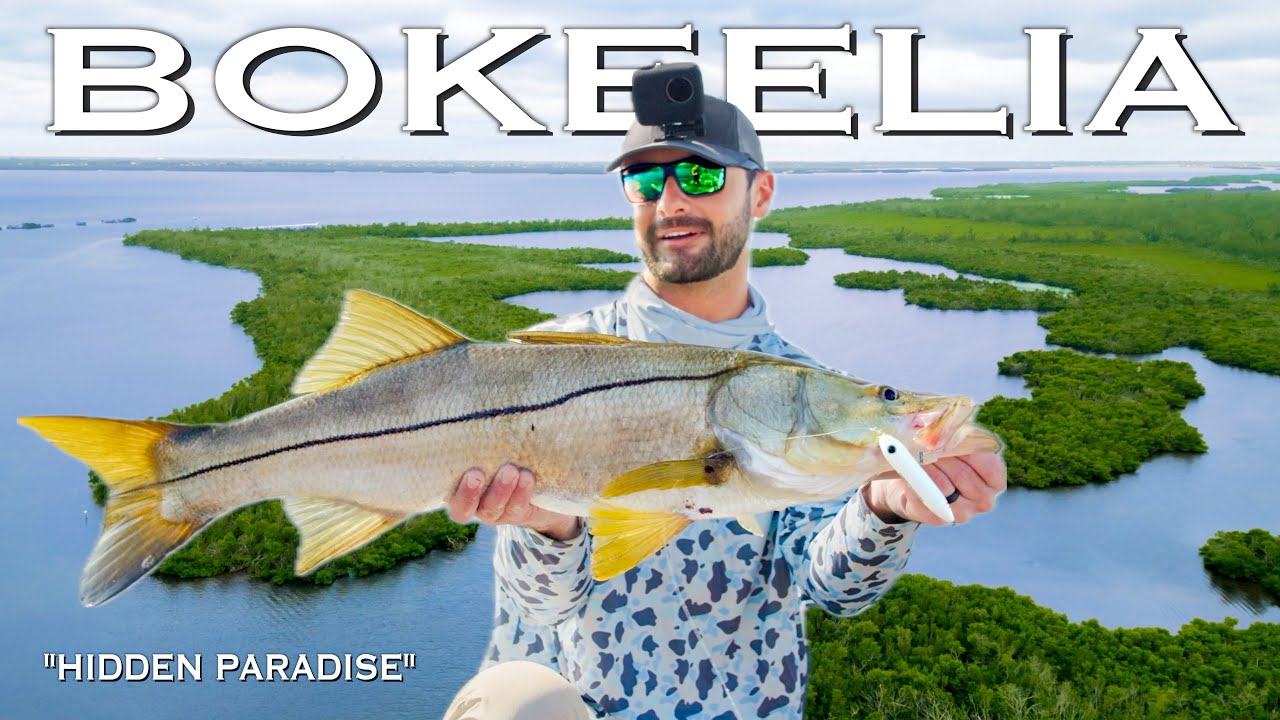 4 Days Exploring Florida's Hidden Fishing Paradise (Bokeelia, FL) - YouTube