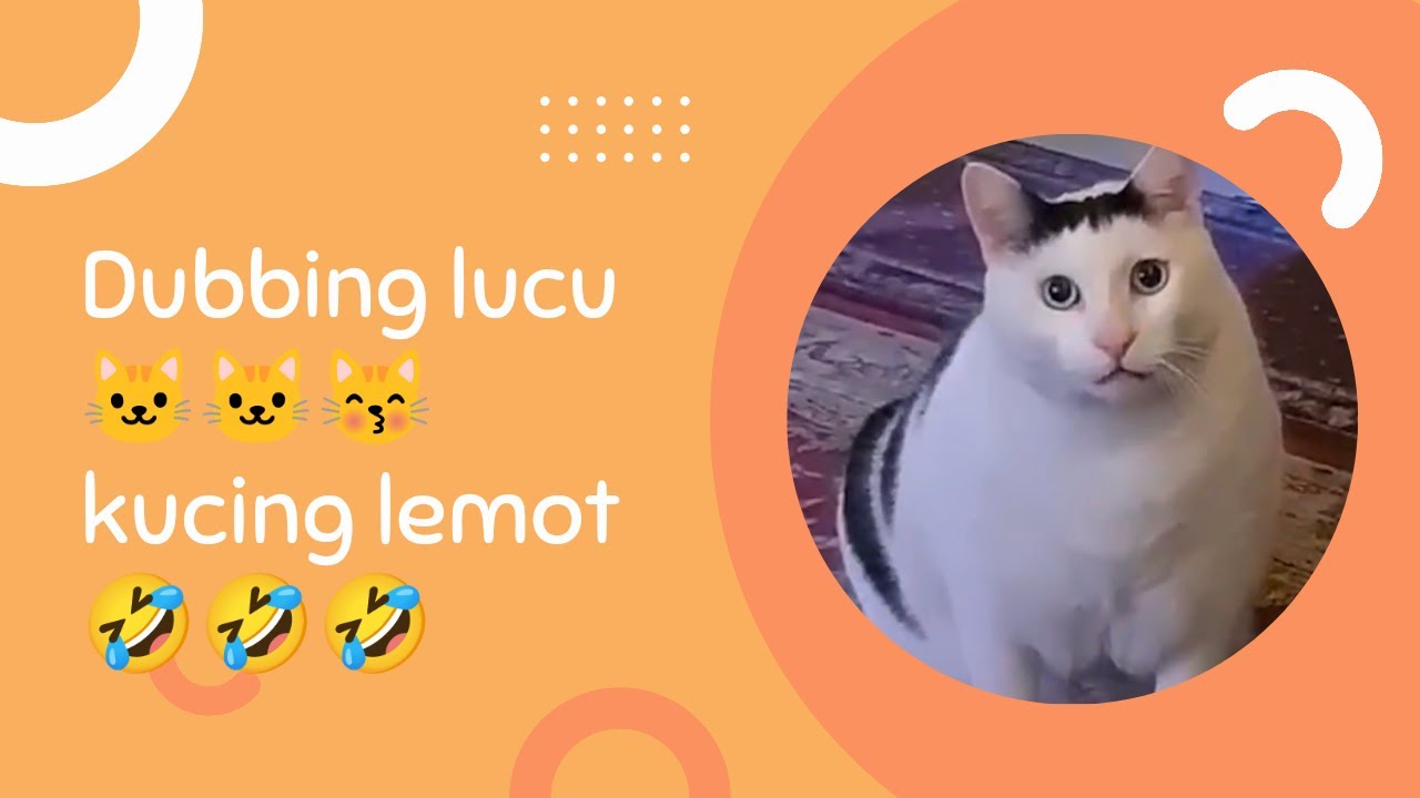 KUCING LEMOT (HA HO HA HO WAE) - YouTube
