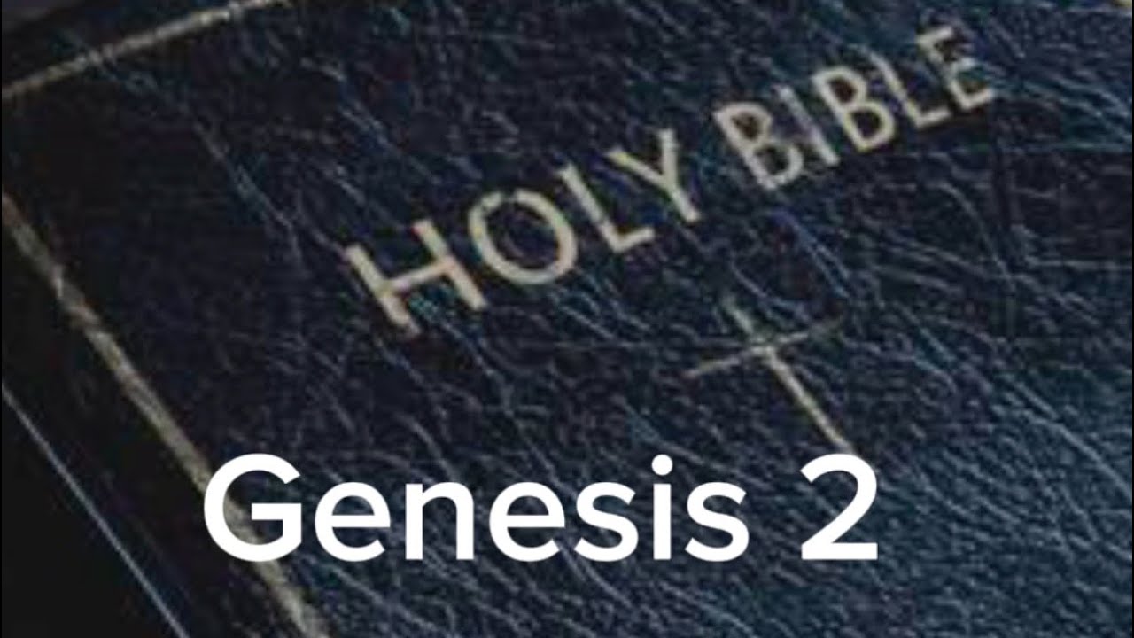 Genesis 2 (NIV) The Audio Bible - YouTube